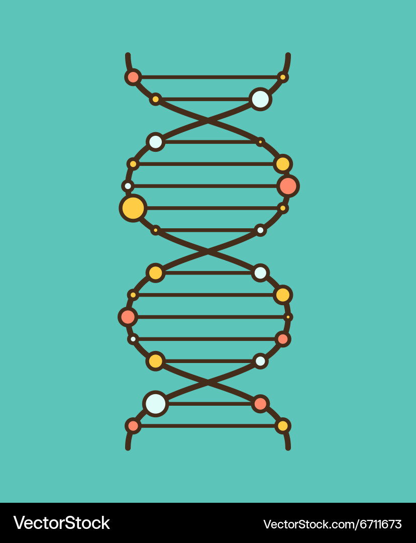 Dna schematic icon Royalty Free Vector Image - VectorStock