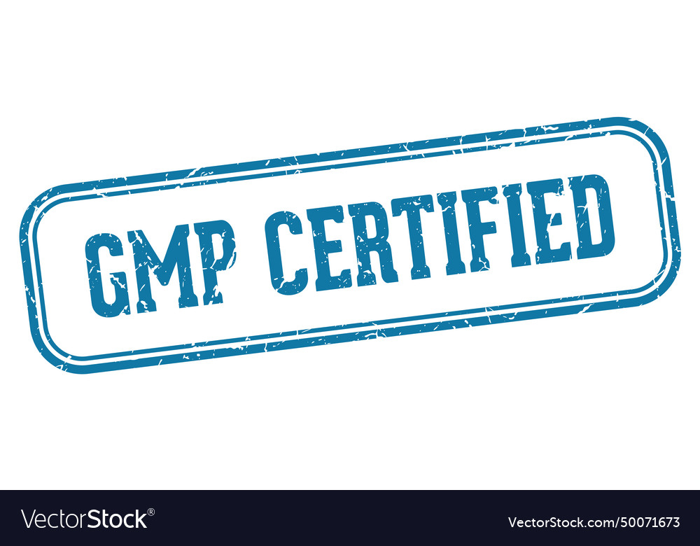 Gmp certified stamp rectangular Royalty Free Vector Image