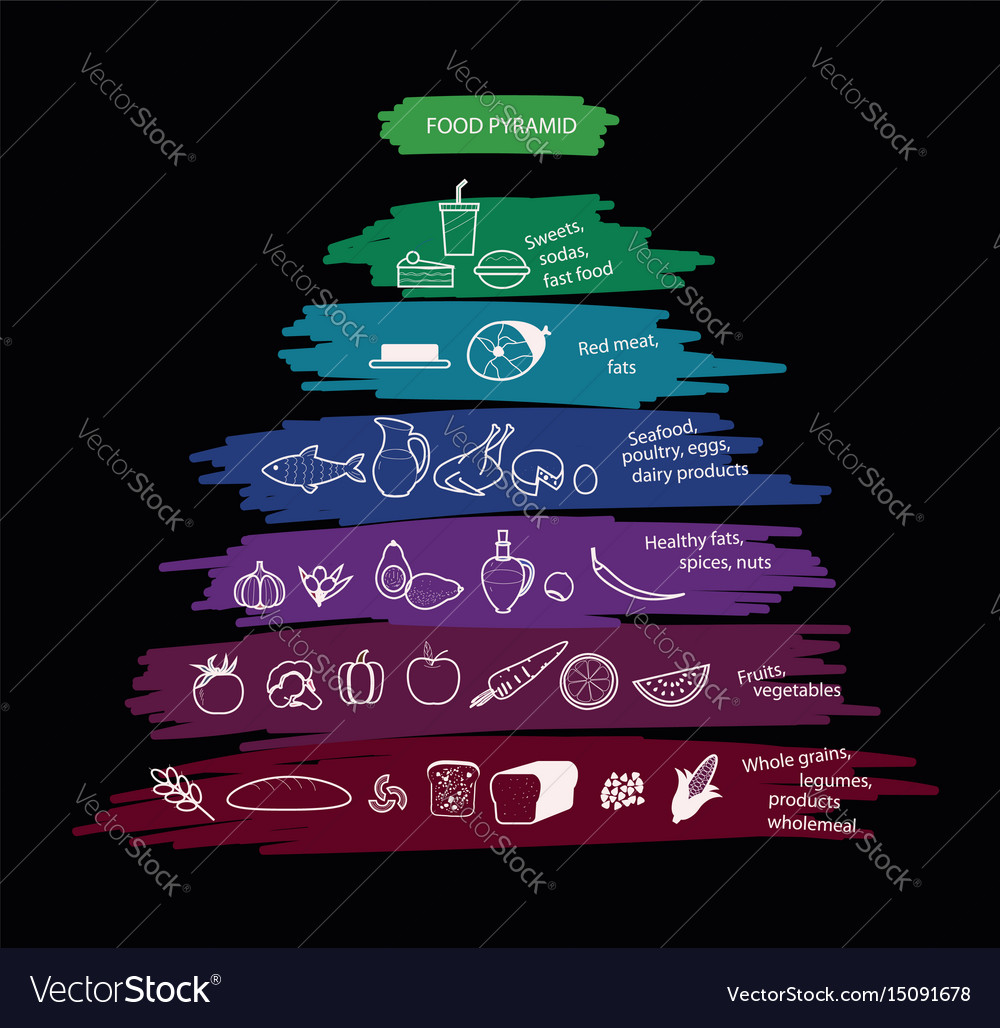 Food pyramid Royalty Free Vector Image - VectorStock