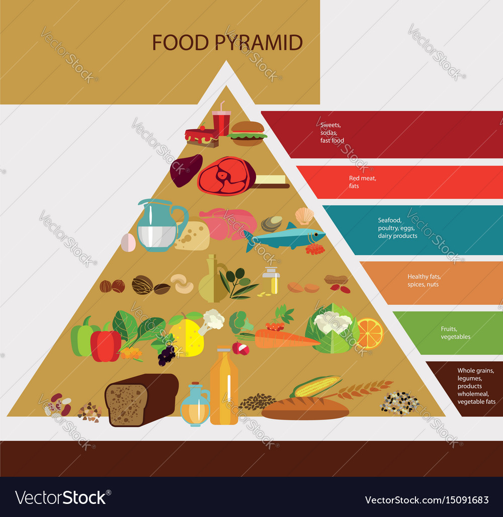 Food pyramid Royalty Free Vector Image - VectorStock