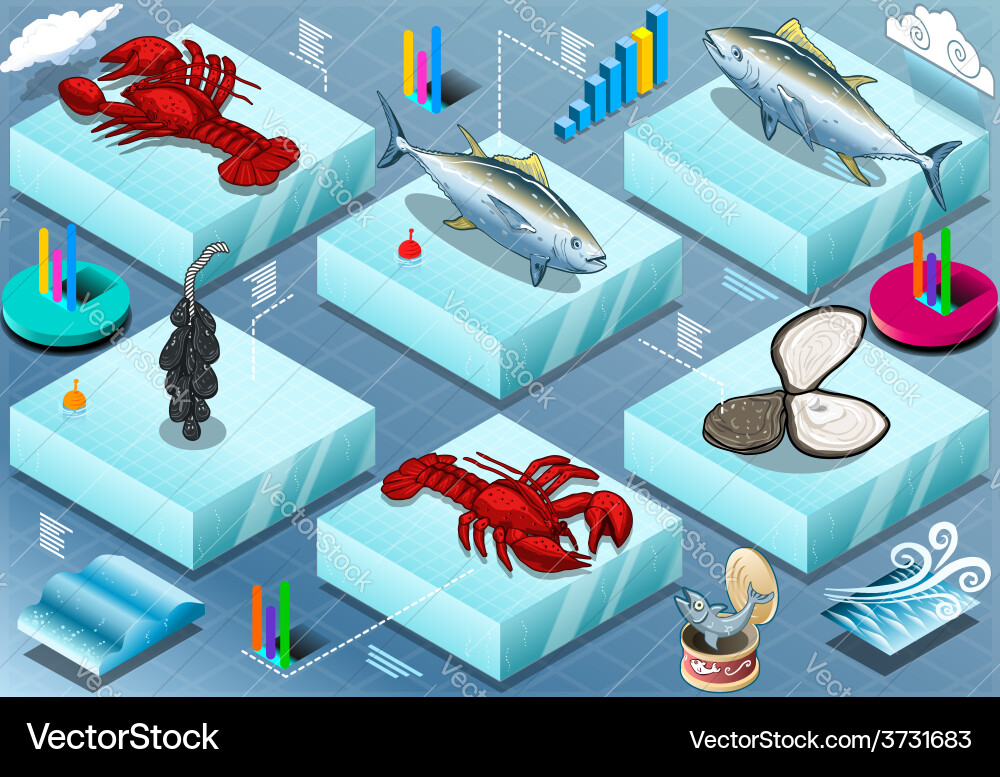 Isometric infographic marine life Royalty Free Vector Image