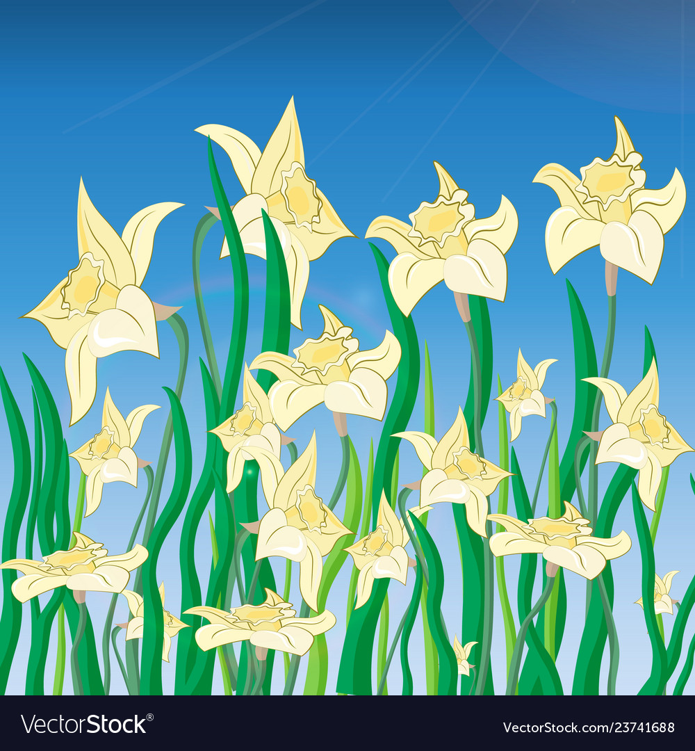 Daffodil flowers on spring background Royalty Free Vector