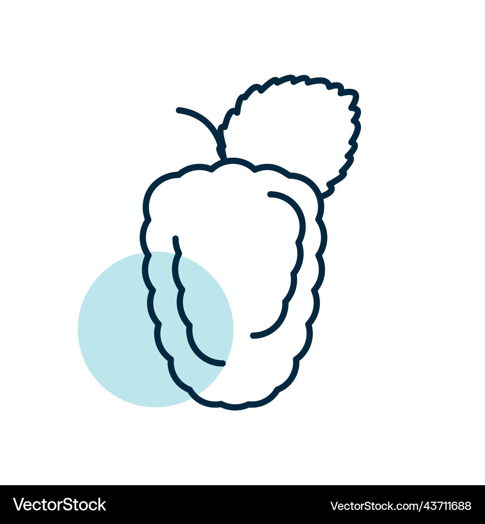 Mulberry fruit with leaves icon graph symbol Vector Image