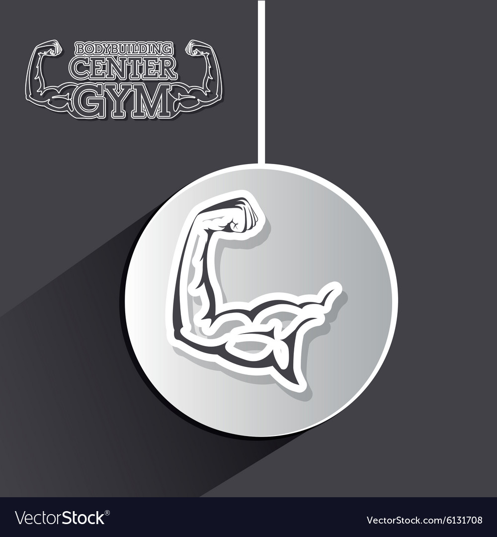 Gym design Royalty Free Vector Image - VectorStock