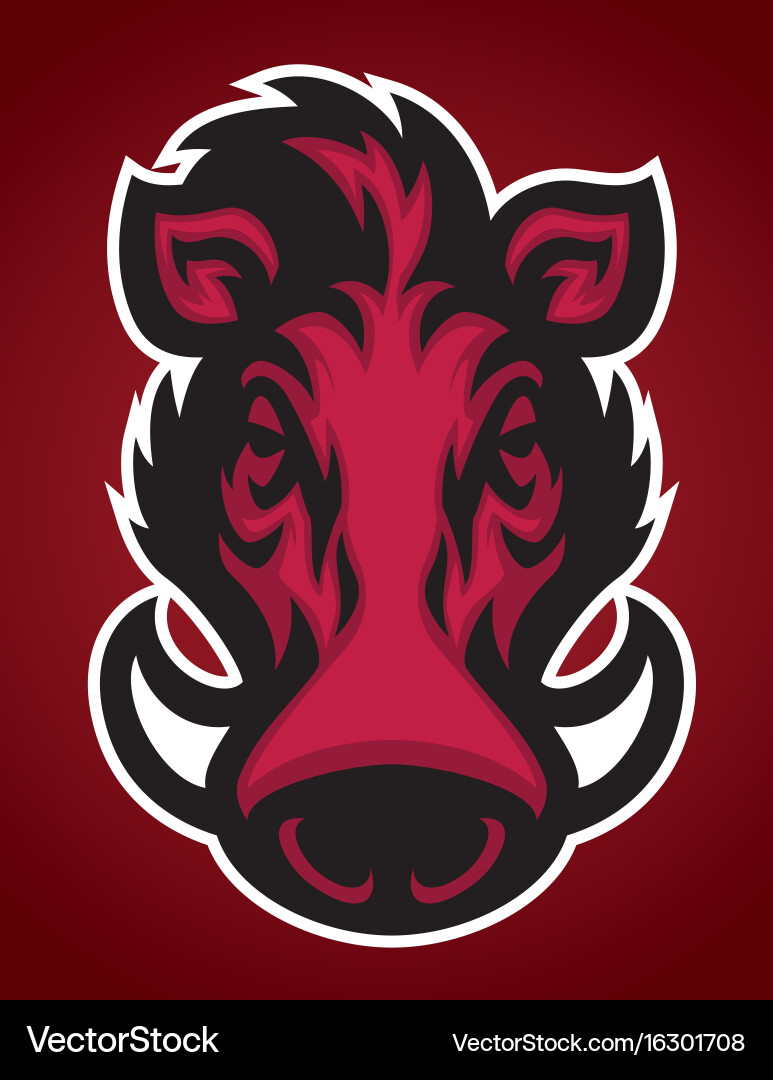 Head of wild hog mascot Royalty Free Vector Image