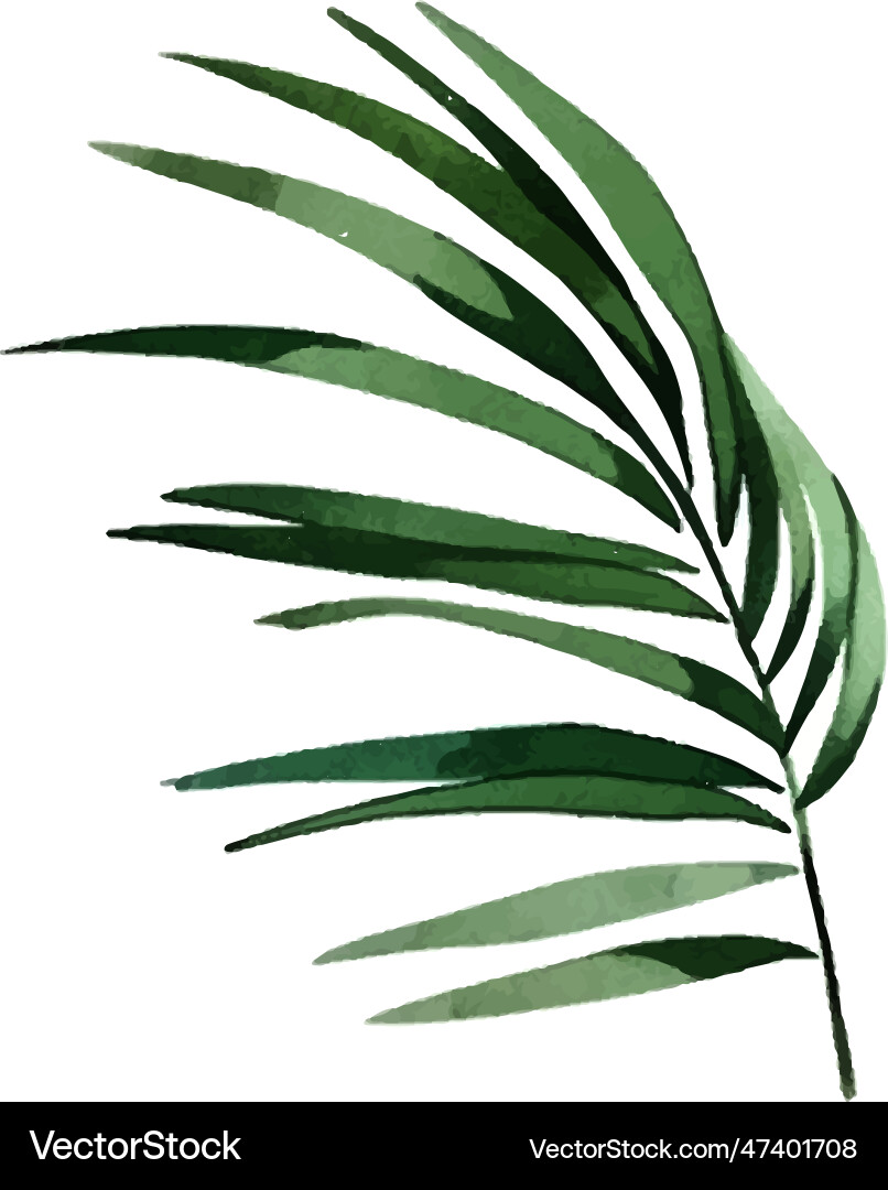 Modern exotic leave watercolor great design Vector Image