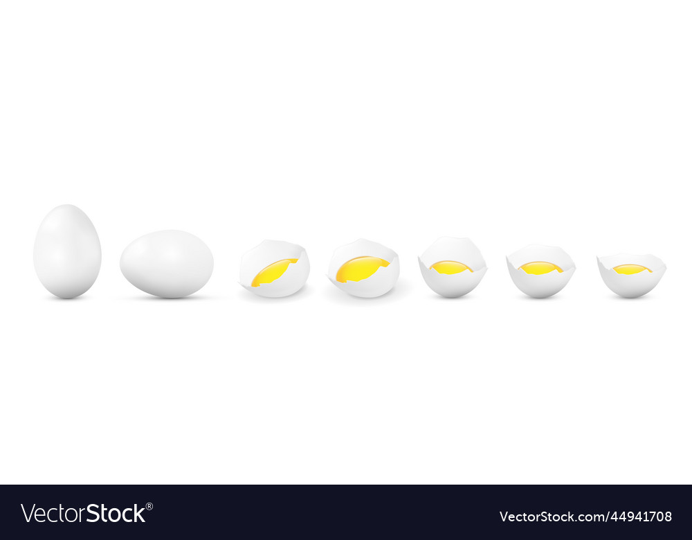 Realistic white eggs and broken with yolk Vector Image