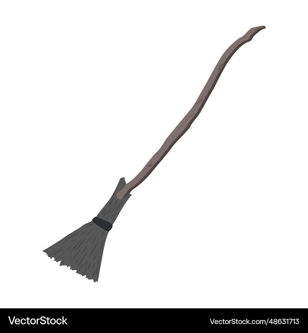 Cartoon broomstick isolated on white background Vector Image