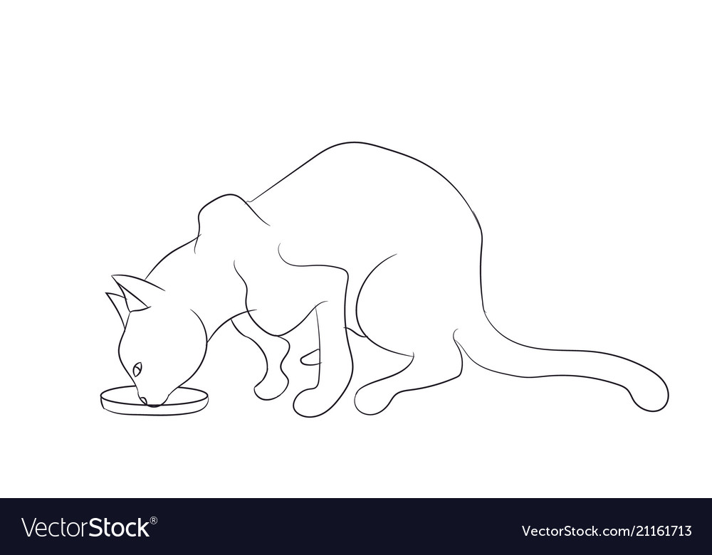 Cat lines Royalty Free Vector Image - VectorStock