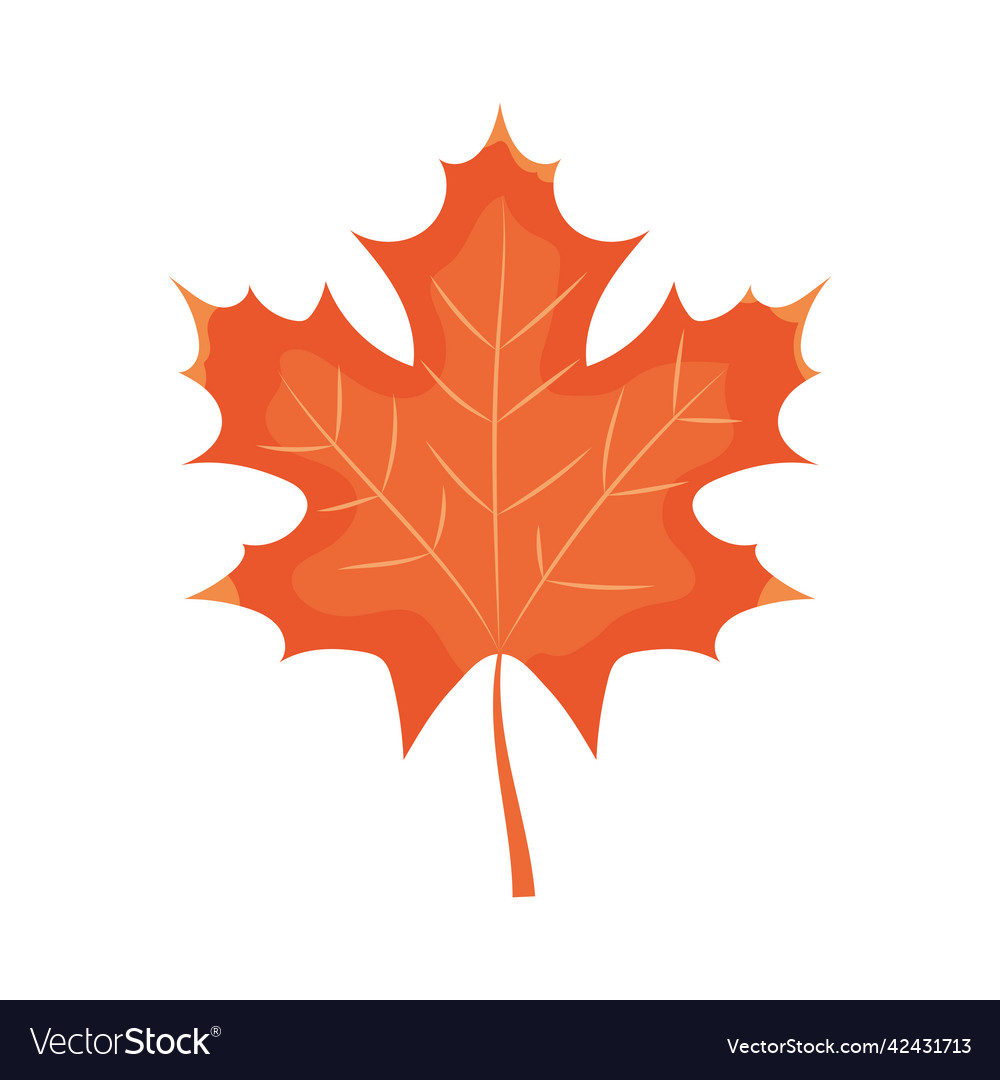 Maple leaf icon Royalty Free Vector Image - VectorStock