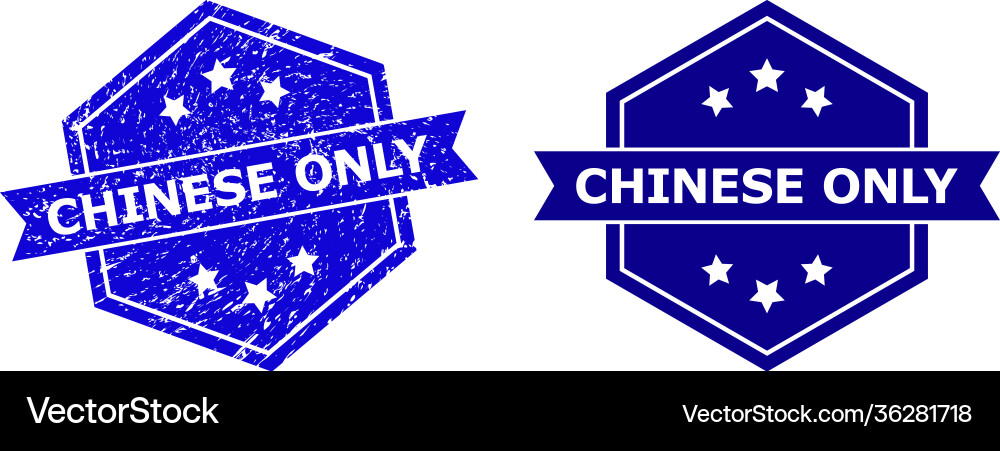 Hexagon chinese only watermark with scratched Vector Image