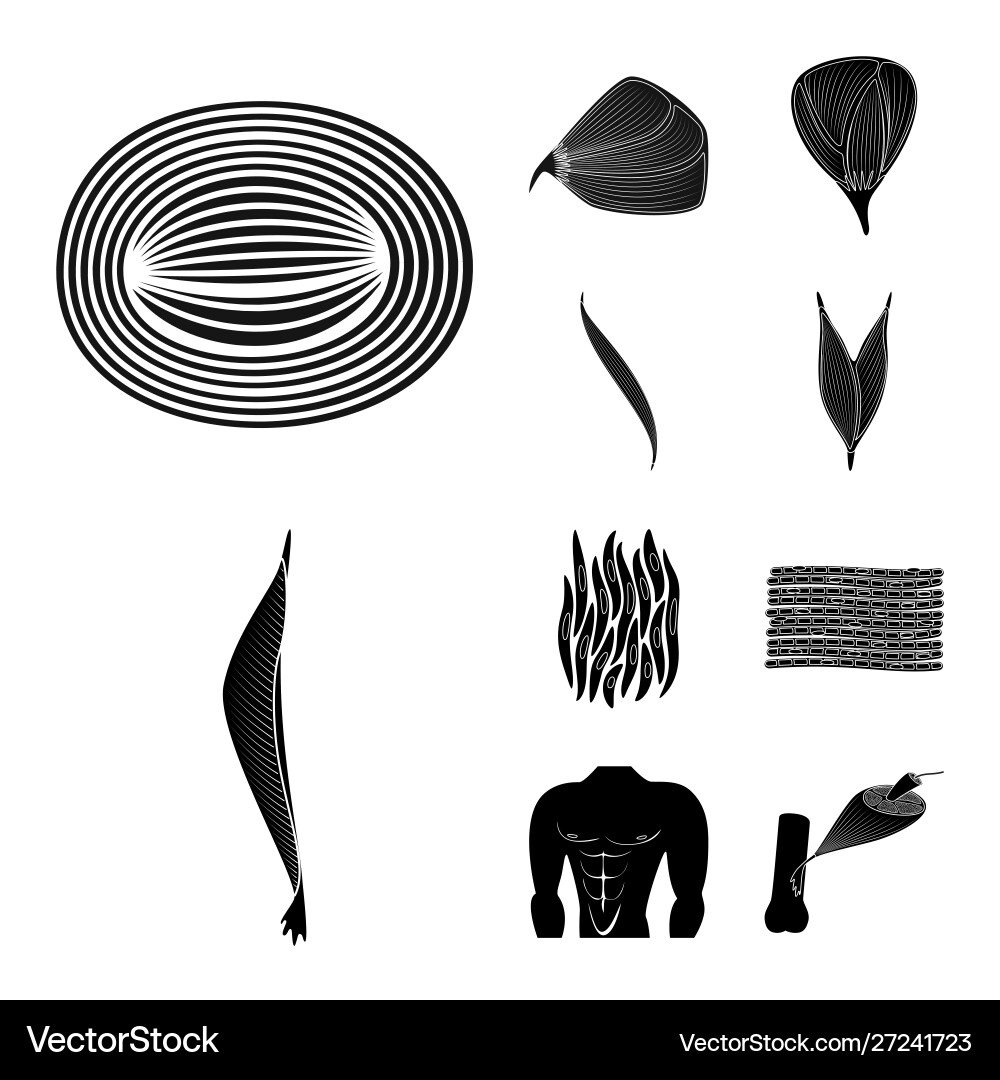 Design human and body sign set Royalty Free Vector Image