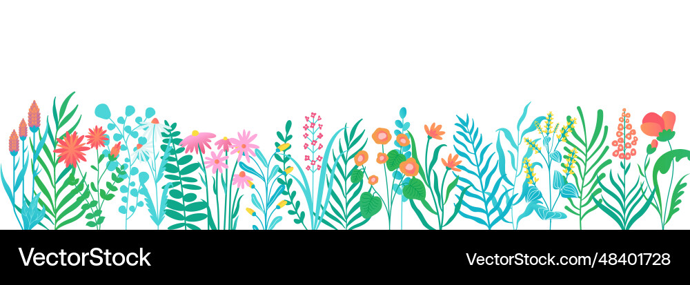 Horizontal flower banner summer floral backdrop Vector Image