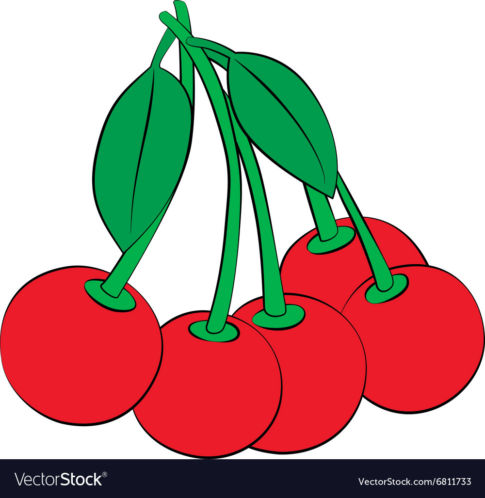 Cherry Royalty Free Vector Image - VectorStock