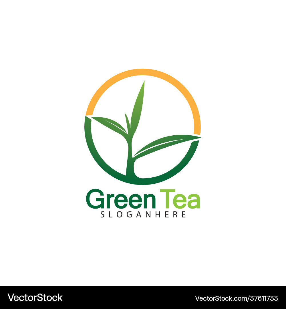 Green tea leaf logo icon design isolated on white Vector Image