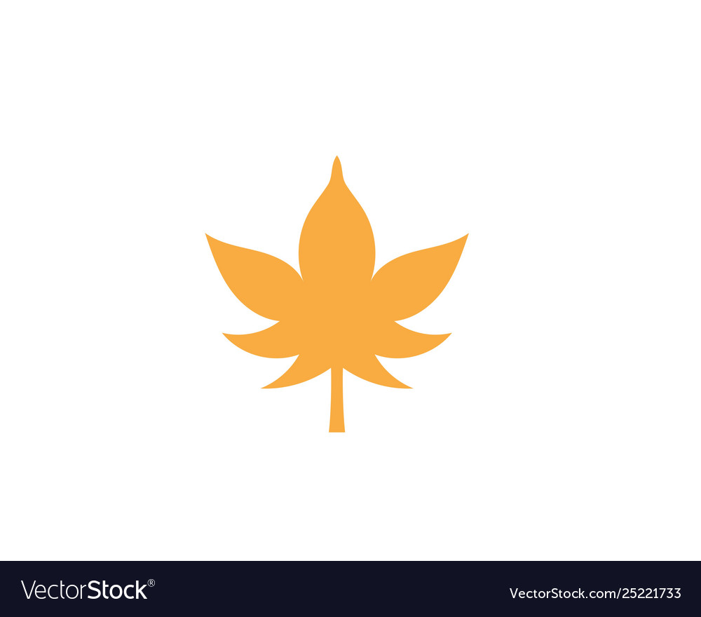 Maple leaf Royalty Free Vector Image - VectorStock