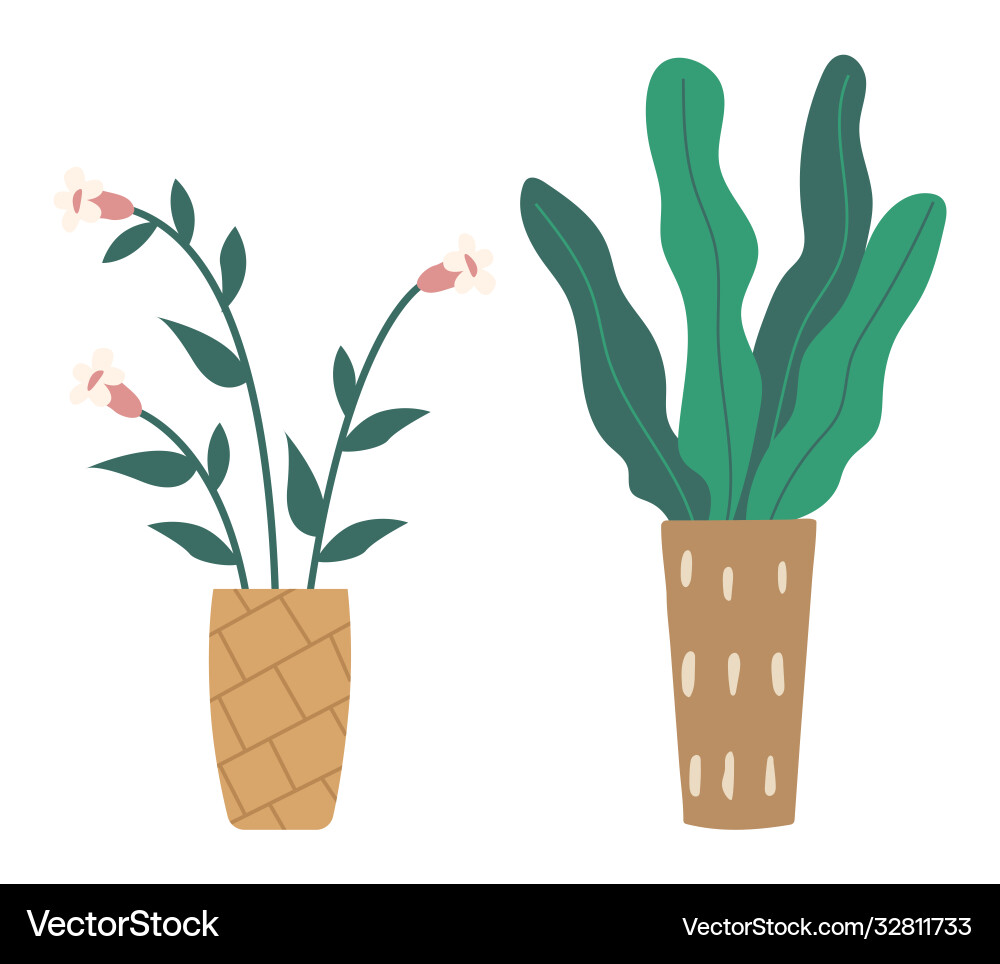Plants growing in pots or planters set green Vector Image