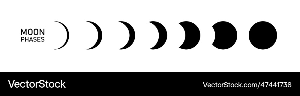 Moon phases icon phases the whole cycle from Vector Image