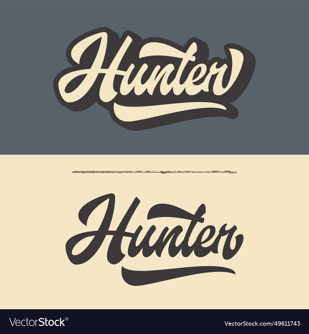 Brush Script Font Royalty Free Vector Image Vectorstock