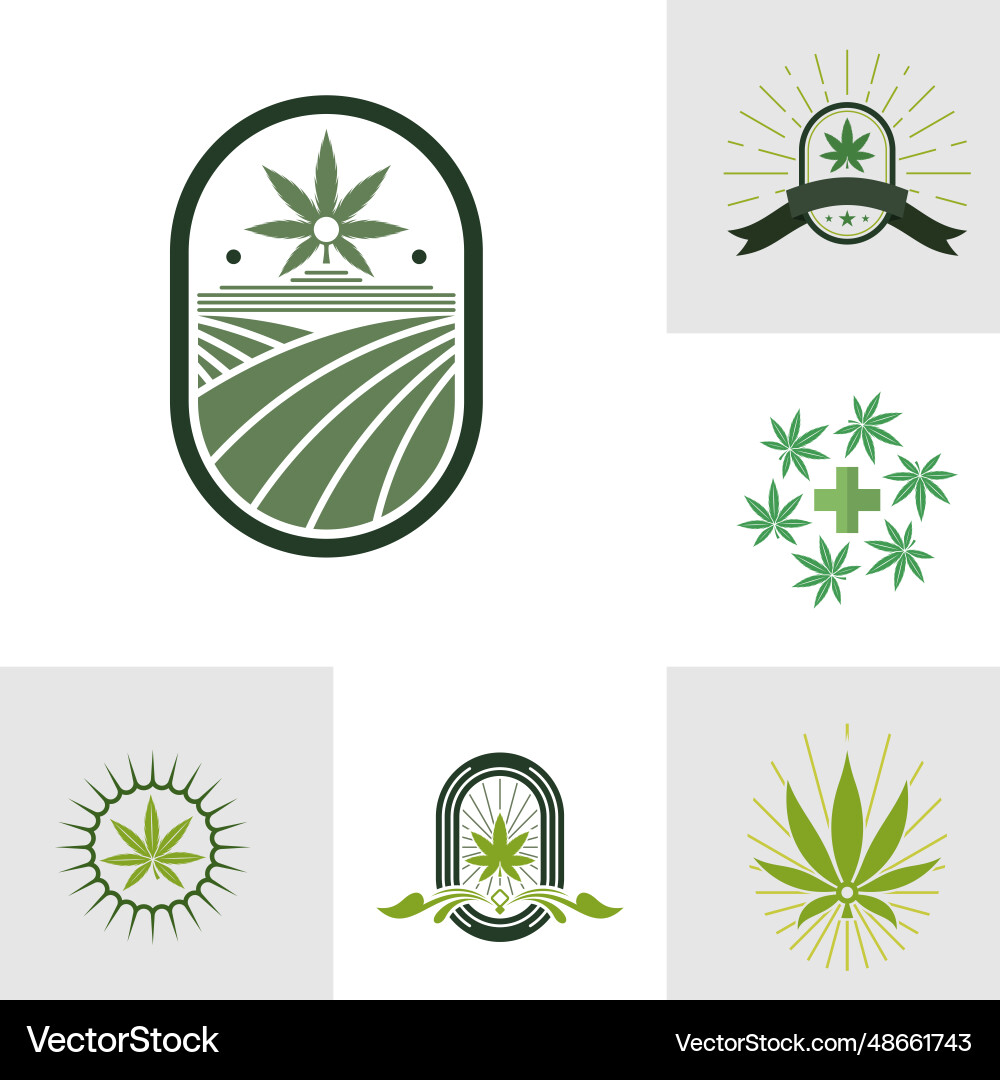 Set of cannabis leaf logo design template Vector Image