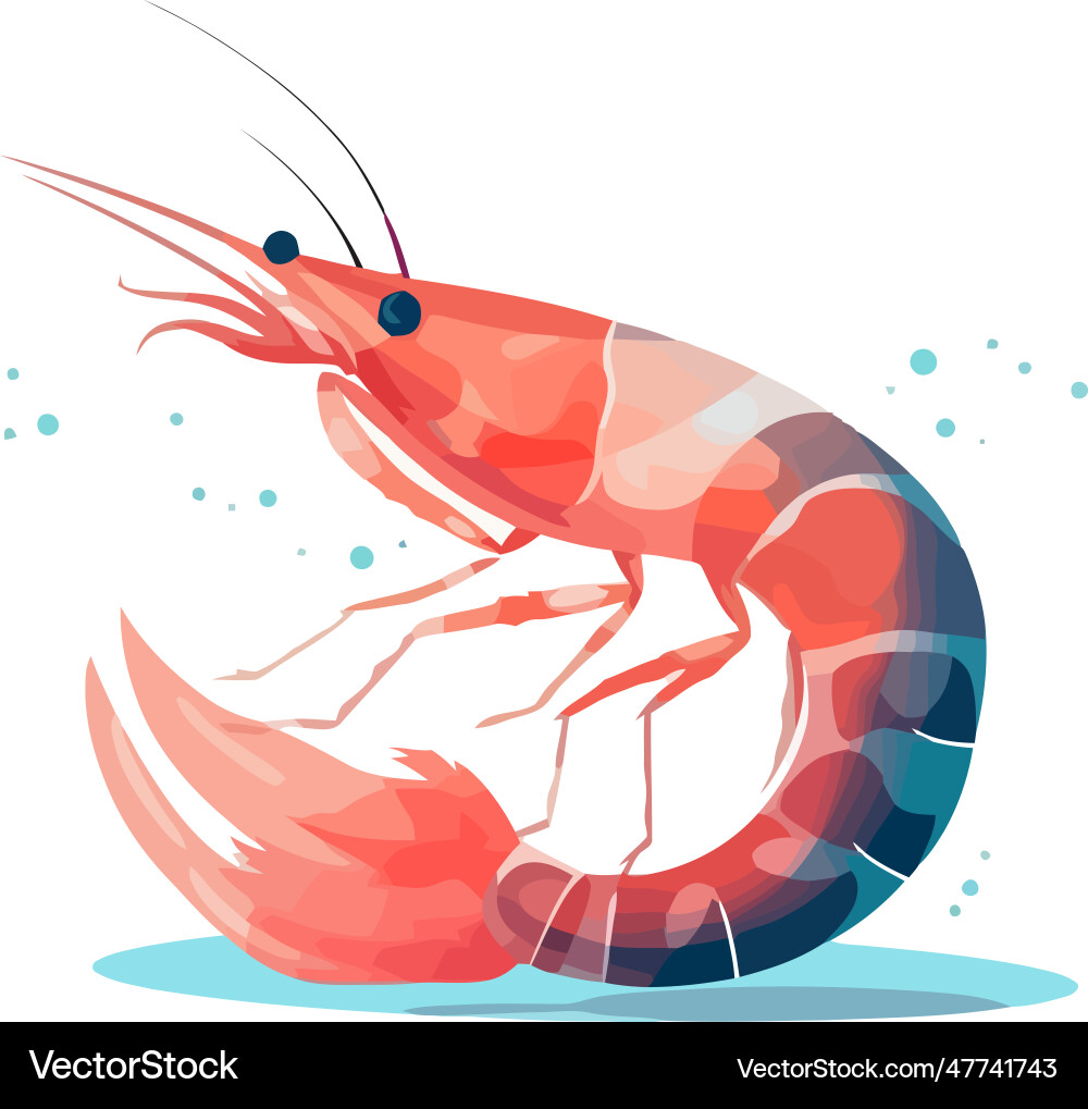 Shrimp cocktail drawing on a white background Vector Image