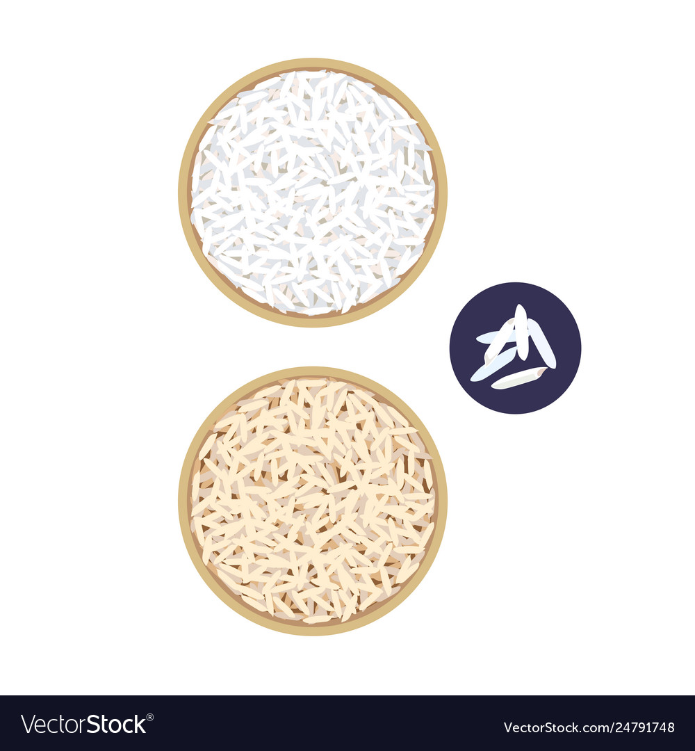 Basmati Royalty Free Vector Image - VectorStock