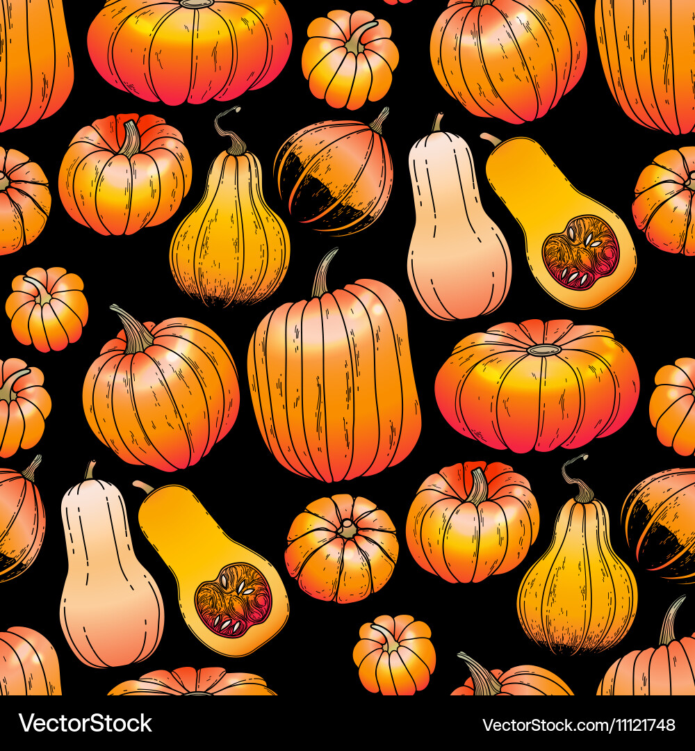 Graphic collection of pumpkins Royalty Free Vector Image
