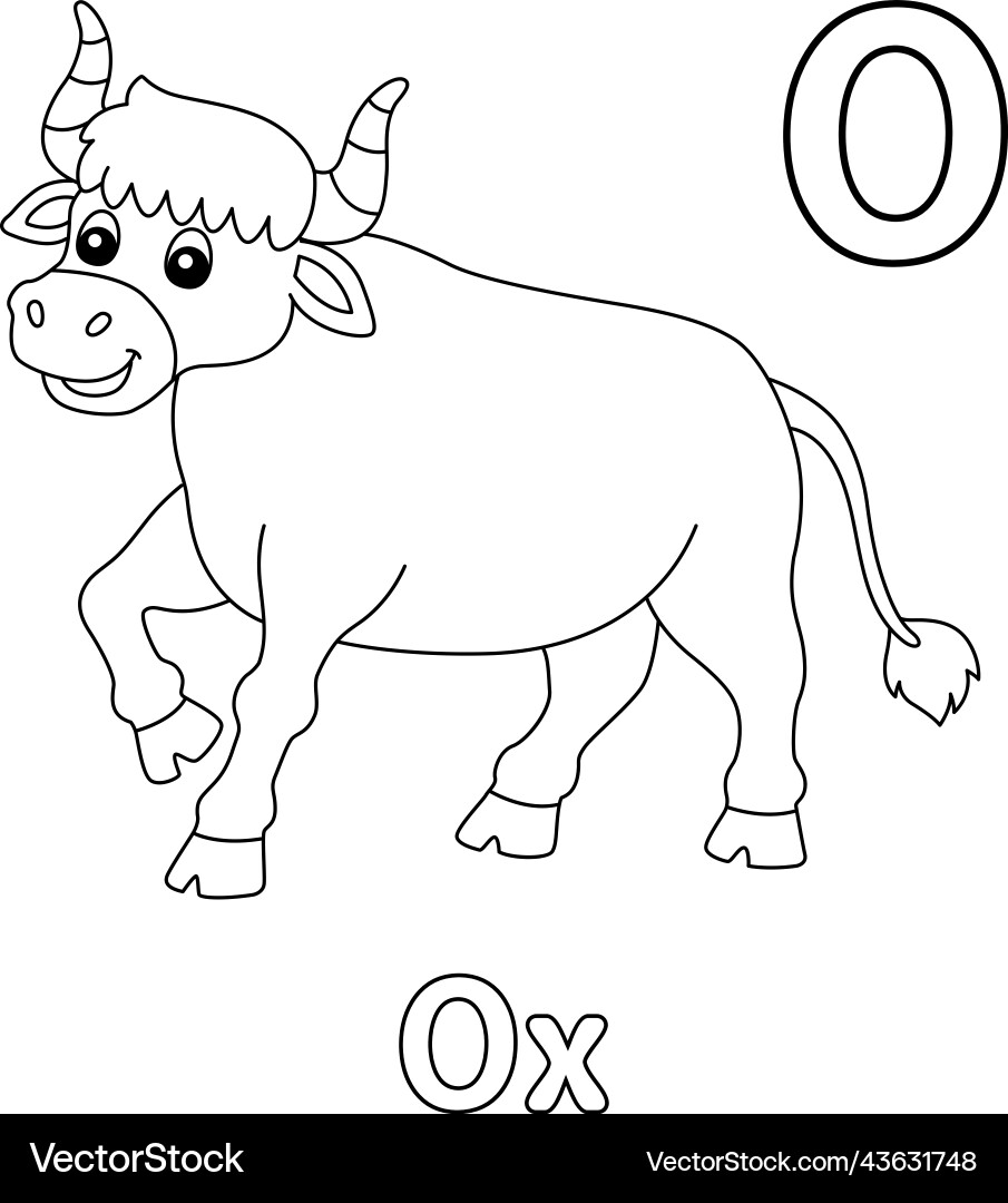 Ox alphabet abc coloring page o Royalty Free Vector Image