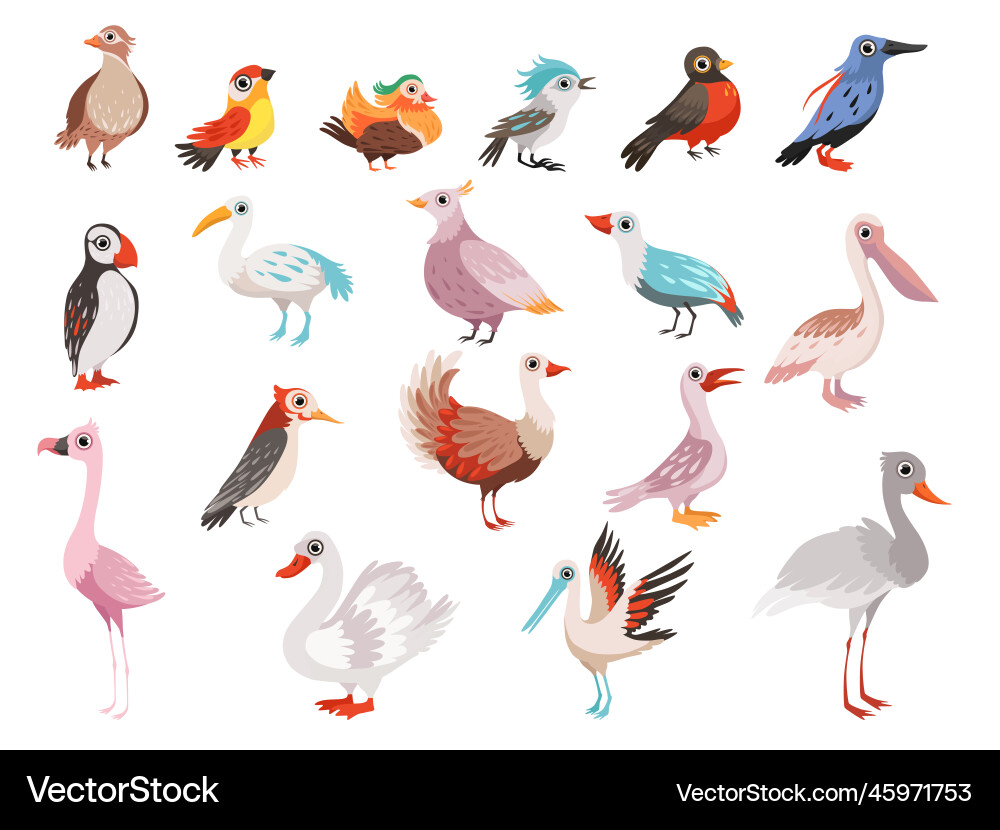 Set of different birds side view sparrow Vector Image