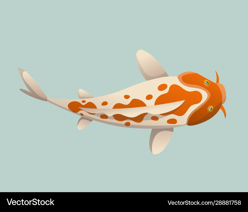 Calmly floating fish koi Royalty Free Vector Image