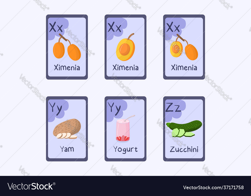Colorful alphabet flashcard letters xy z Vector Image