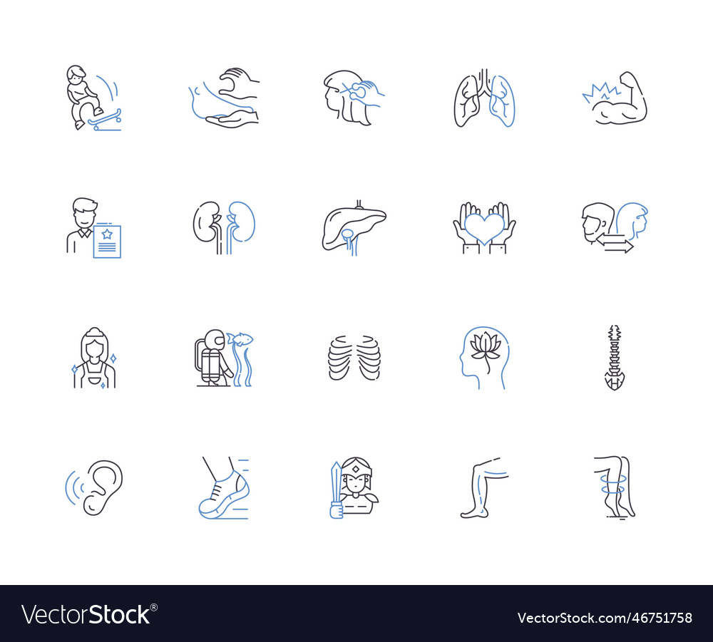 Human body outline icons collection anatomy Vector Image