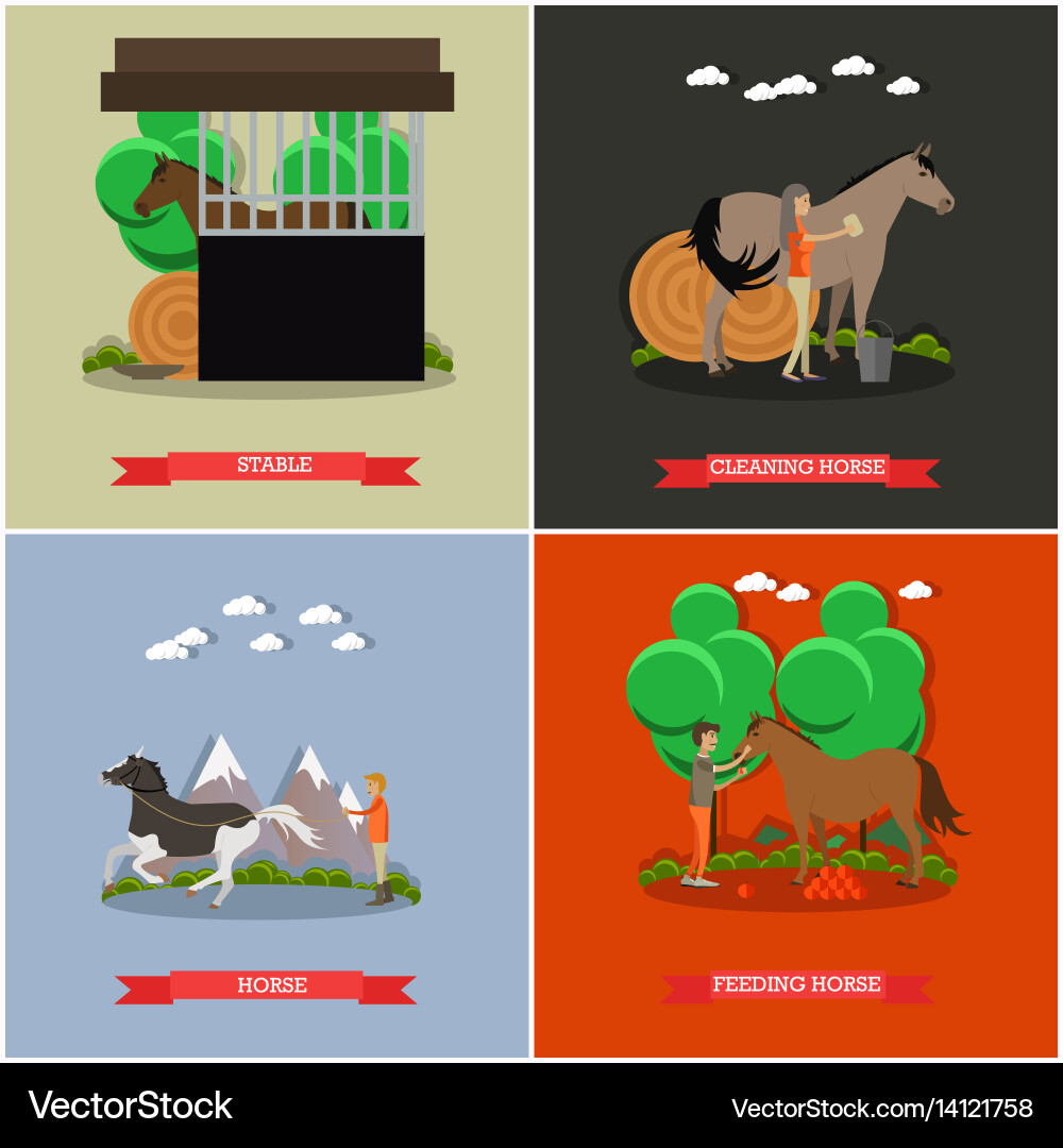Set horse riding concept posters in flat Vector Image