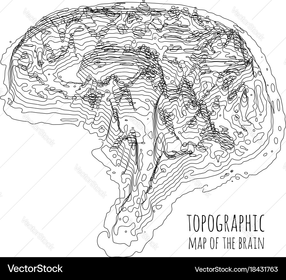 Brain in the form of a topographic map Royalty Free Vector