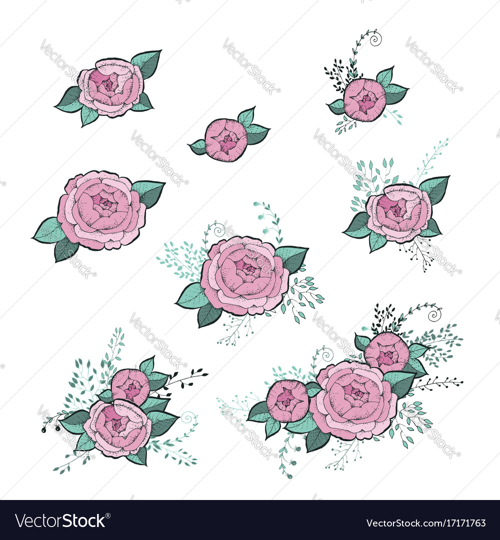 Flowers roses set hand drawing monochrome Vector Image