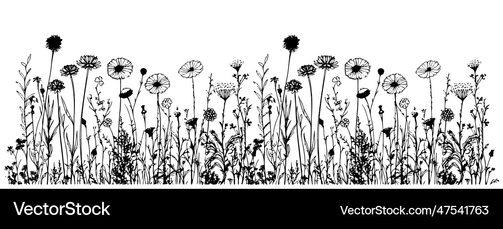 Meadow wildflowers border hand drawn sketch Vector Image