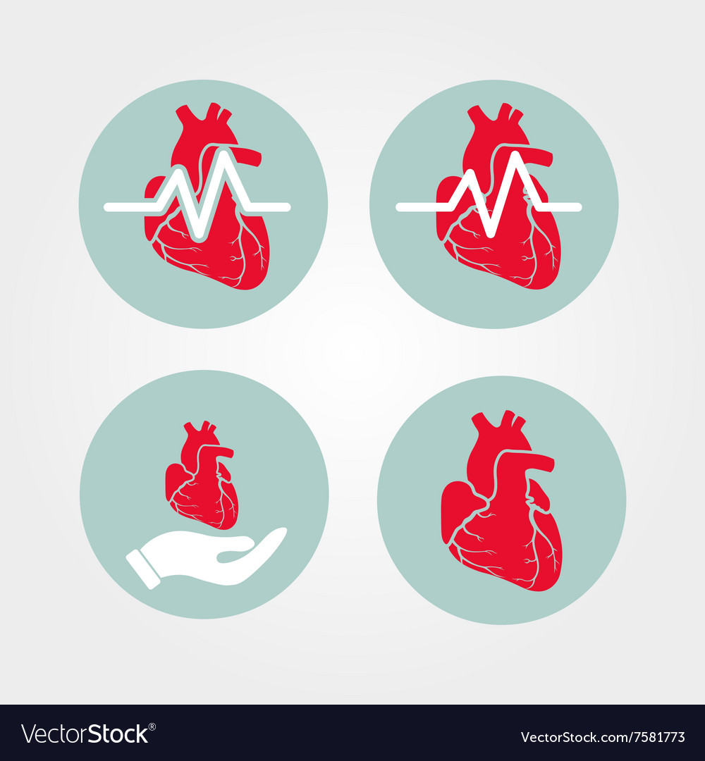 Human Heart Icon Set With Cardiogram And Human Vector Image