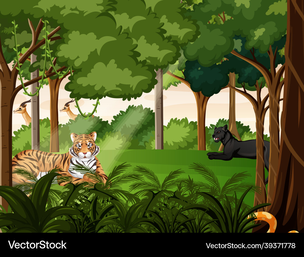 Wild animals in forest landscape background Vector Image
