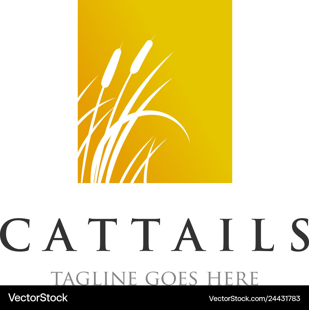 Cattails reed logo designs inspirations Royalty Free Vector