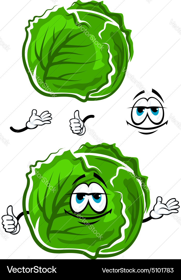 Green cabbage cartoon character with thumb up Vector Image
