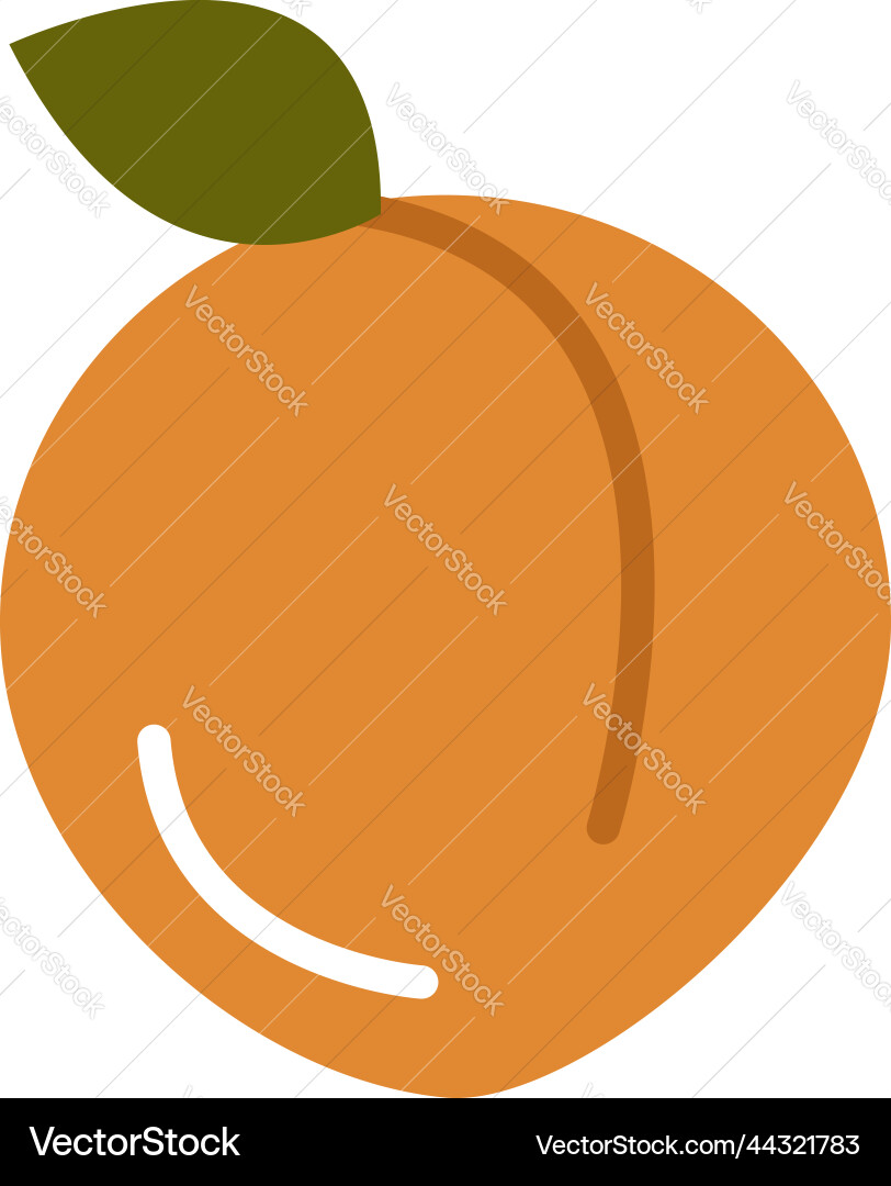 Orange peach on a white background Royalty Free Vector Image