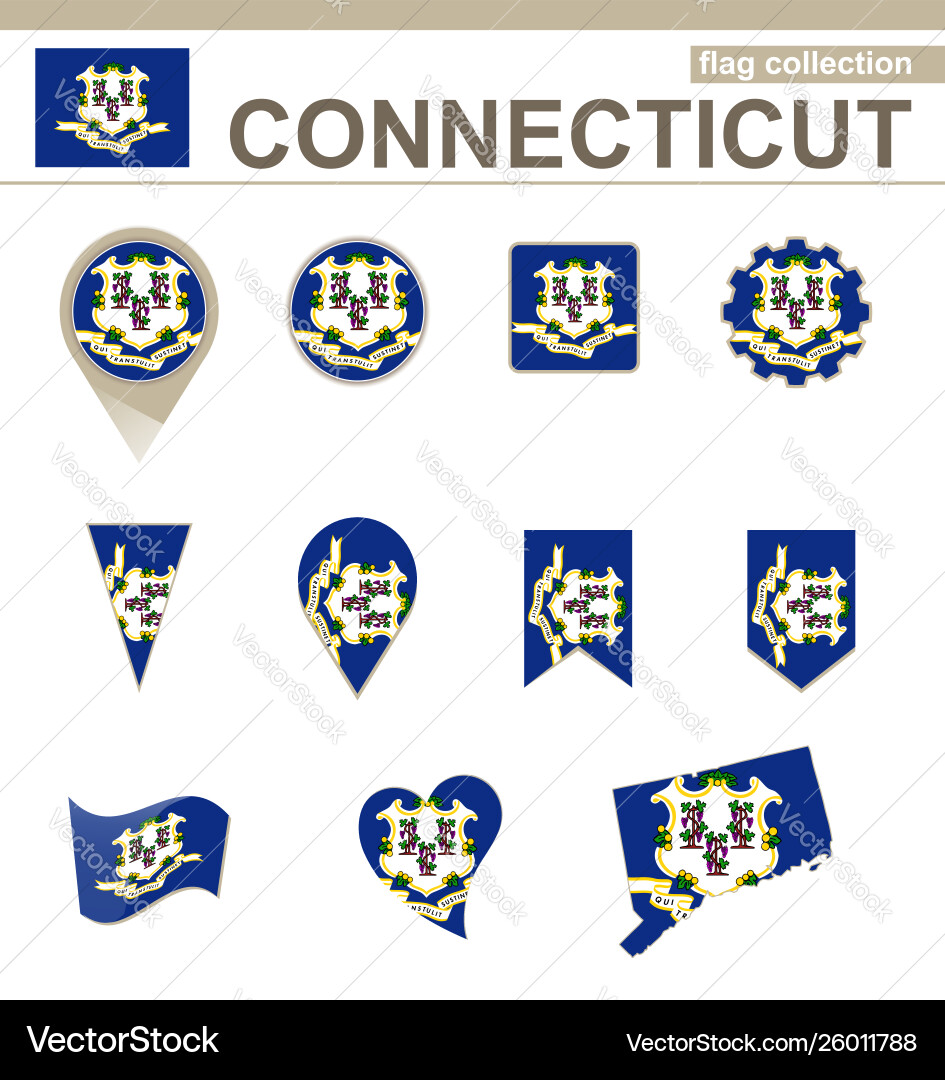 Connecticut flag collection Royalty Free Vector Image