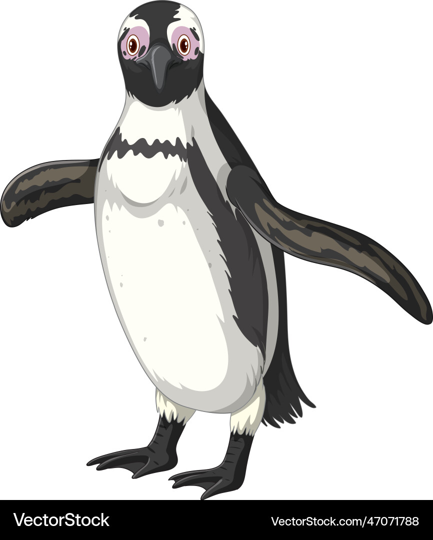 Cute penguin cartoon character Royalty Free Vector Image