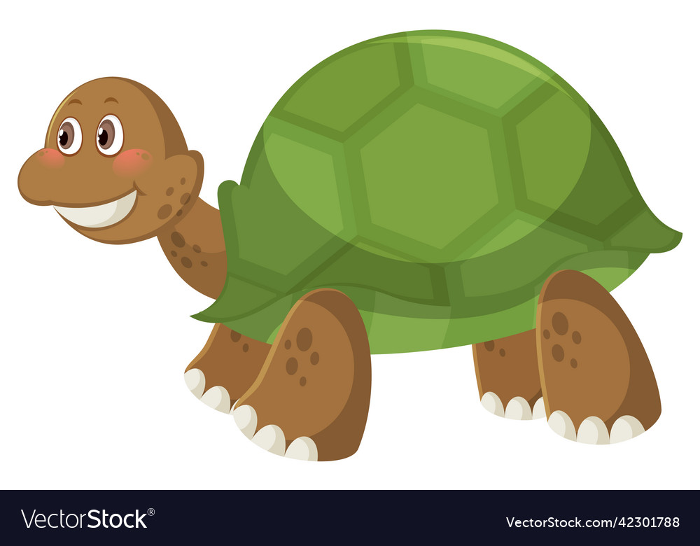 Cute simple turtle cartoon on white background Vector Image
