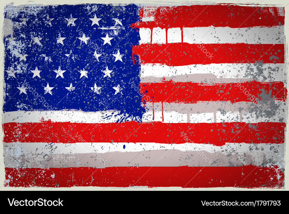 Color usa paint flag Royalty Free Vector Image