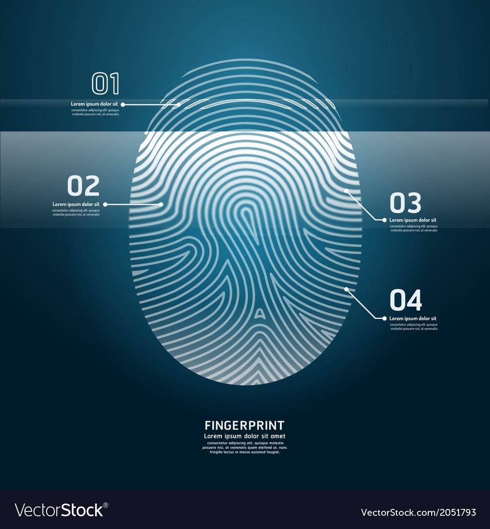 Fingerprint scan Royalty Free Vector Image - VectorStock Fingerprint scan Royalty Free Vector Image - VectorStock