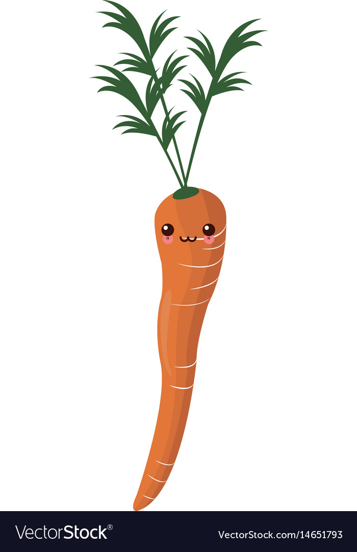 Kawaii carrot vegetable fresh food image Vector Image
