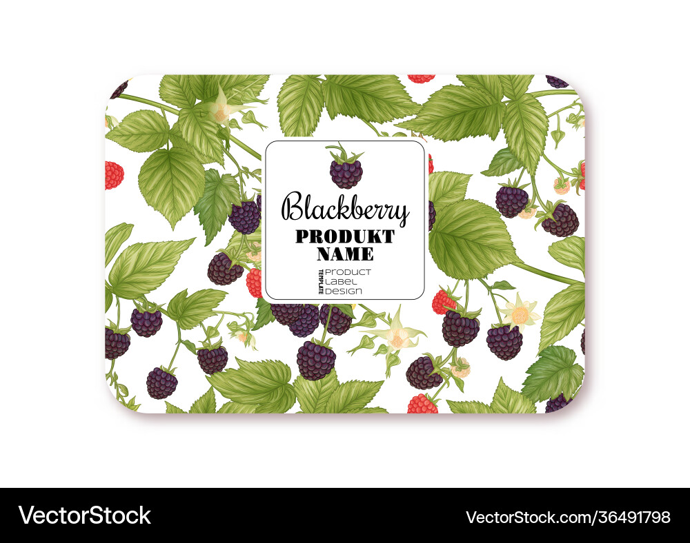 Blackberry ripe berries on branch template Vector Image