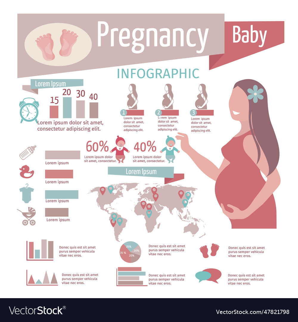 Pregnancy infographics set pregnancy Royalty Free Vector Pregnancy infographics set pregnancy Royalty Free Vector