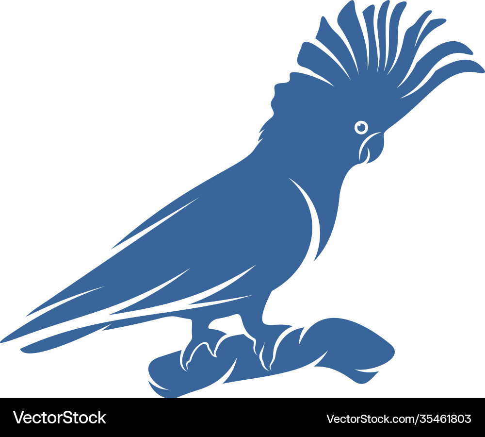Cockatoo bird design creative parrot bird logo Vector Image